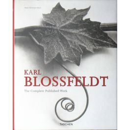 Karl Blossfeldt