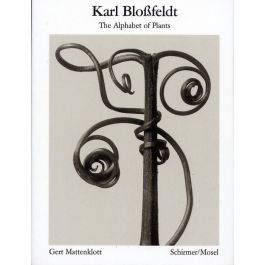 Karl Blossfeldt Art Forms in Nature